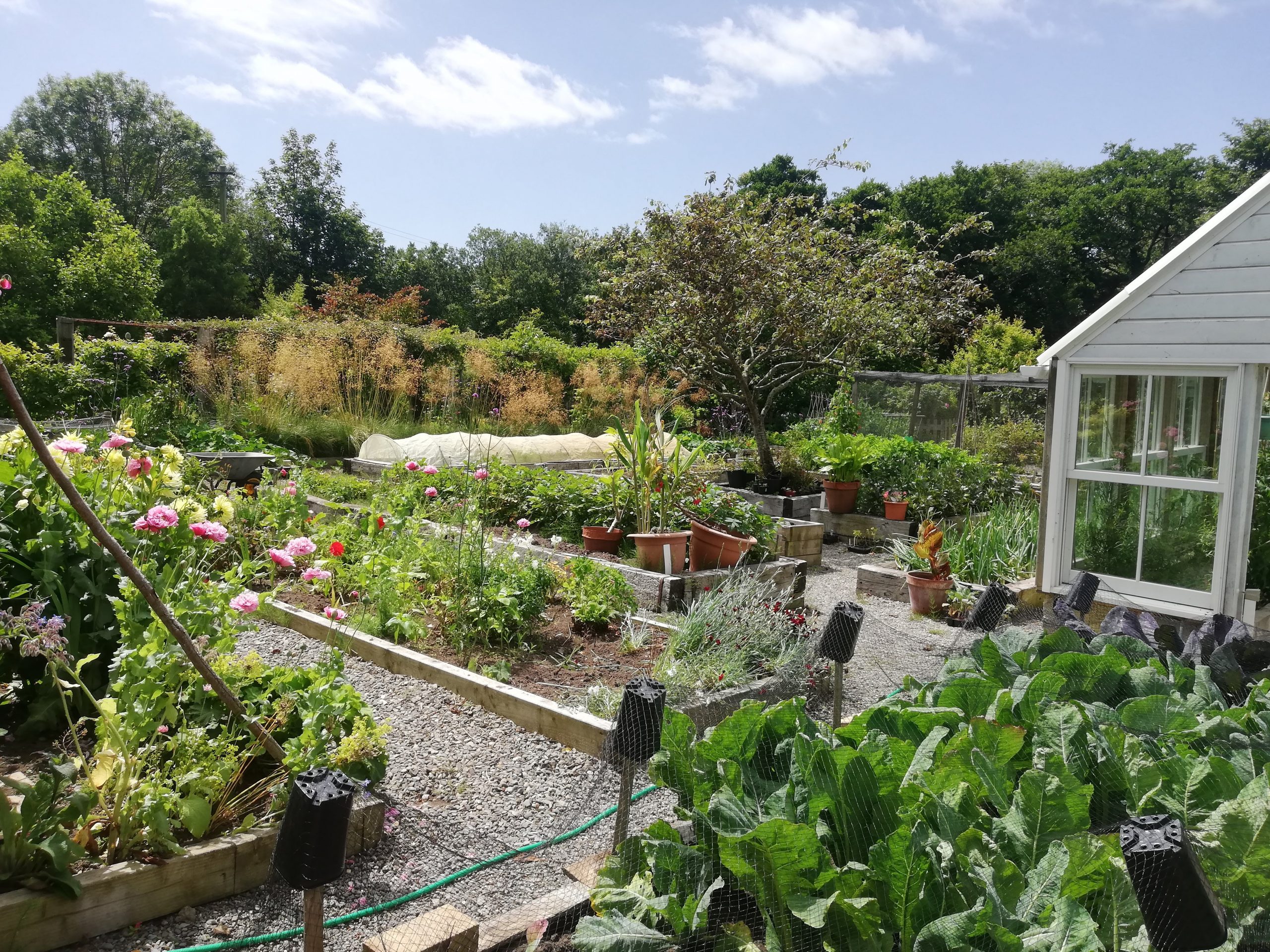 From devastation to delight: How 1 Laudato Si’ Animator changed her ...